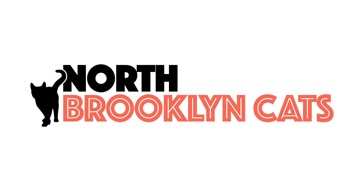 Home - North Brooklyn Cats